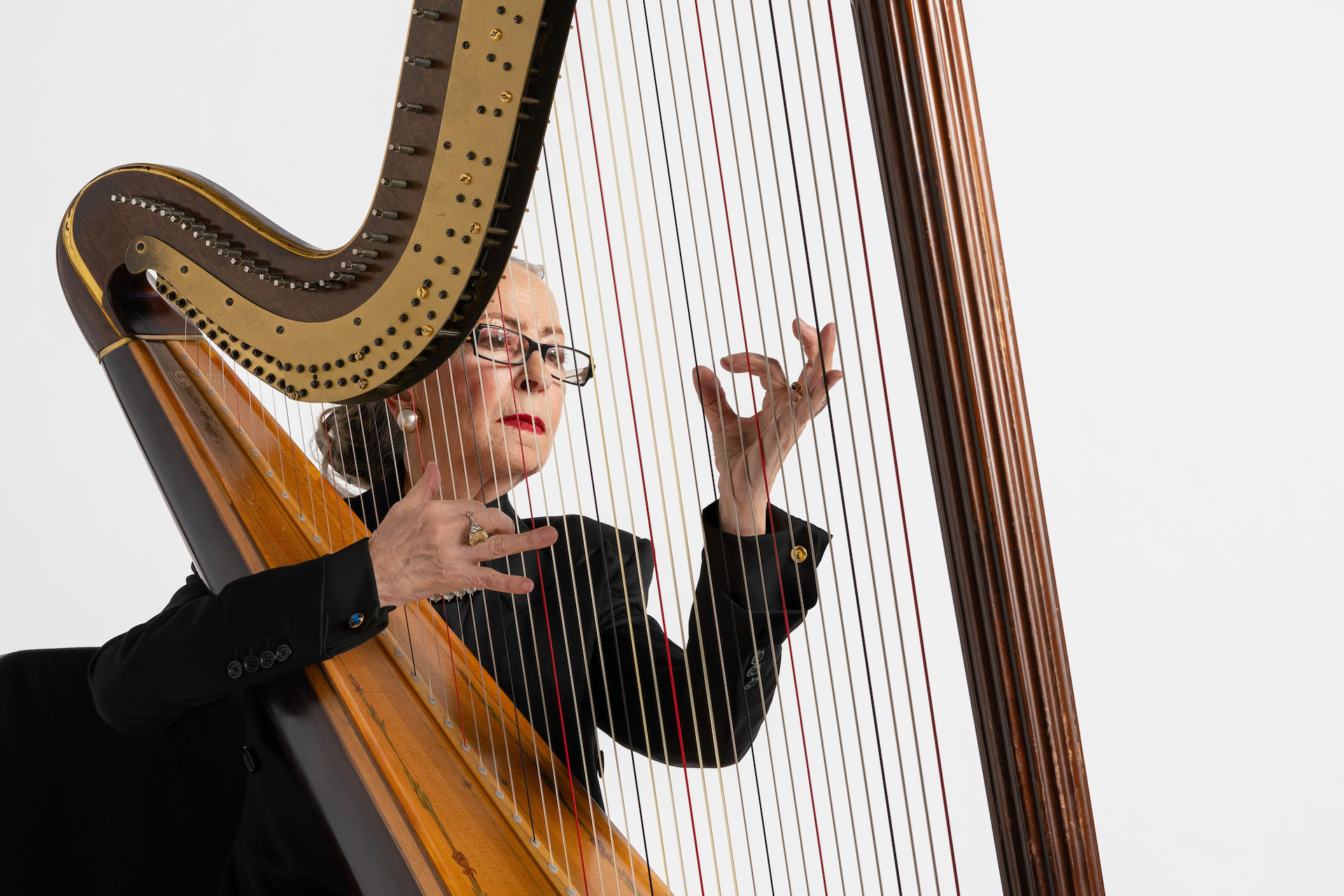 CSO harpist Lynne Turner to retire after the 2025 Ravinia Festival ...