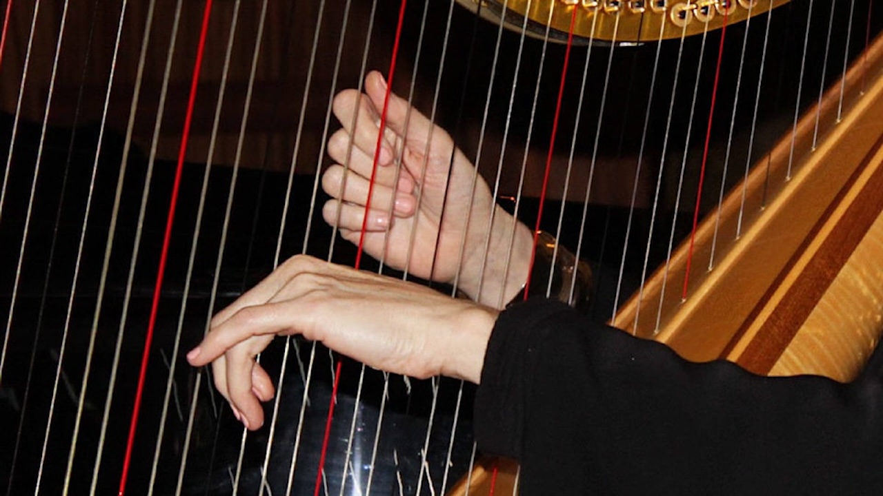 Edmar Castañeda traces his many influences and journey as a jazz ...